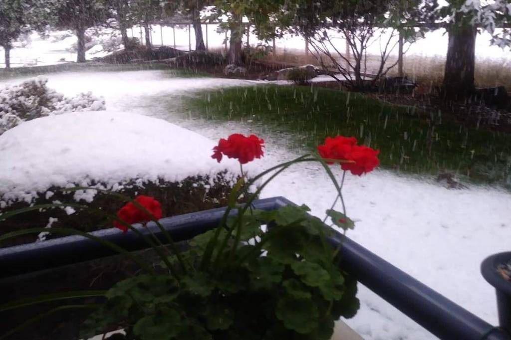 Your photos: Okanagan’s first snowfall | Lake Country Calendar