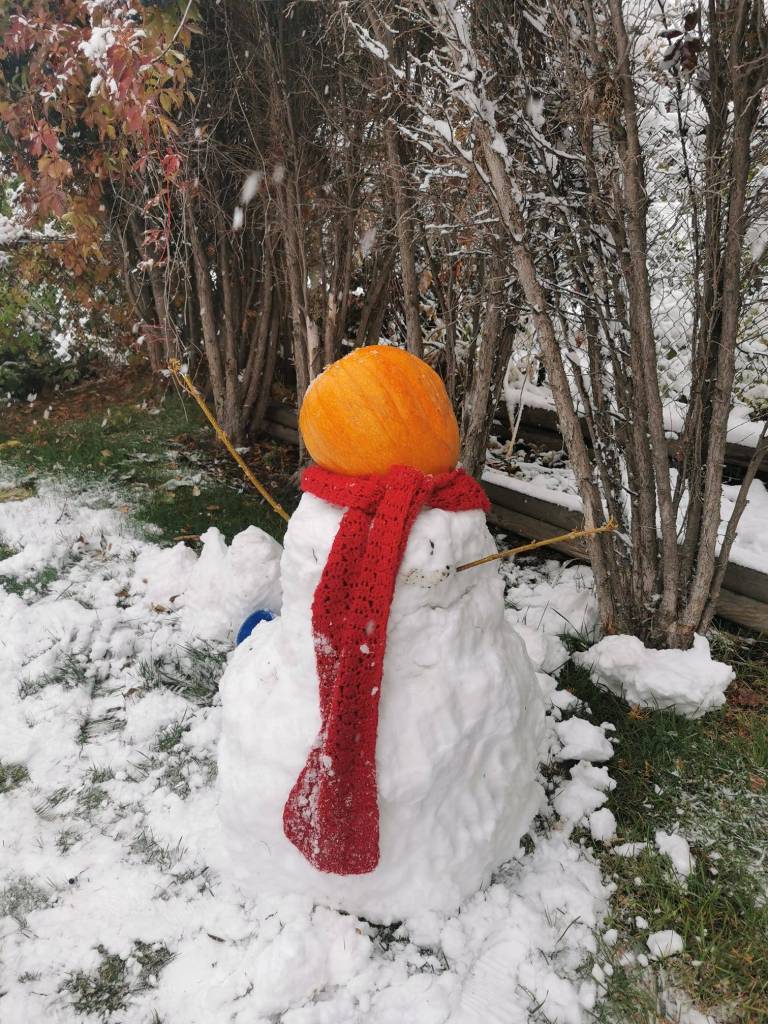 Your photos: Okanagan’s first snowfall | Lake Country Calendar